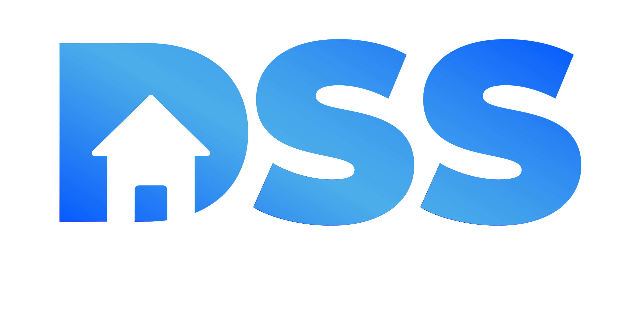 Home Cleaning DSS